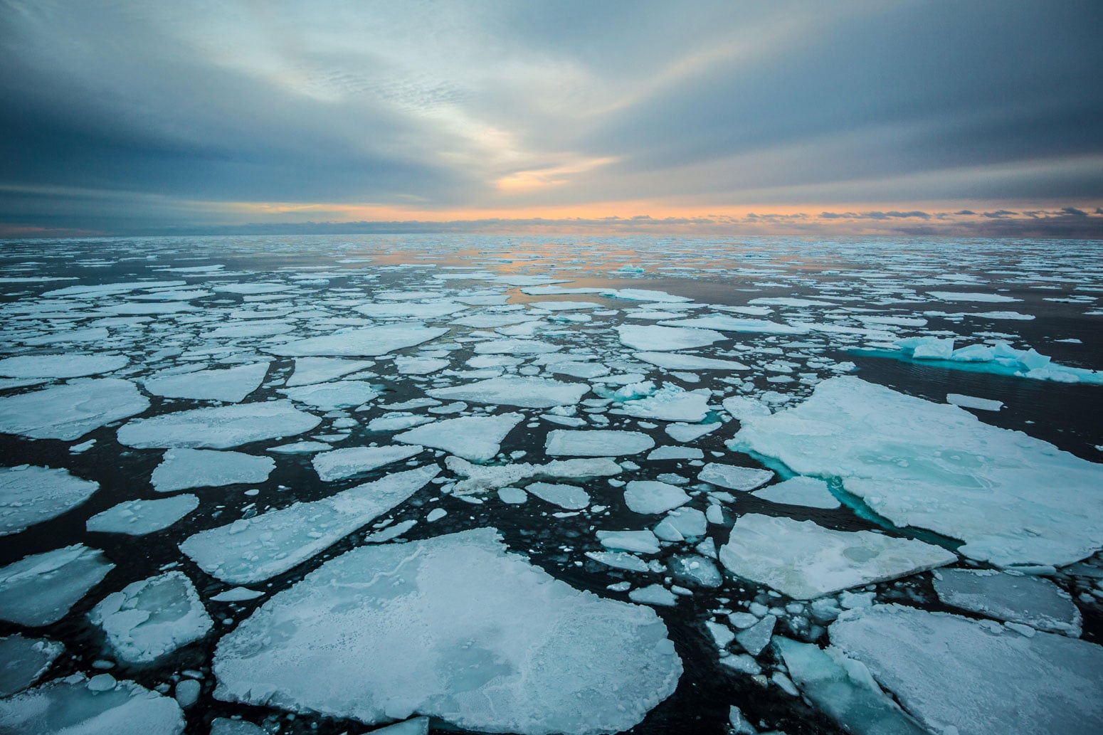 Polar Ice | Texas Craft Junkie